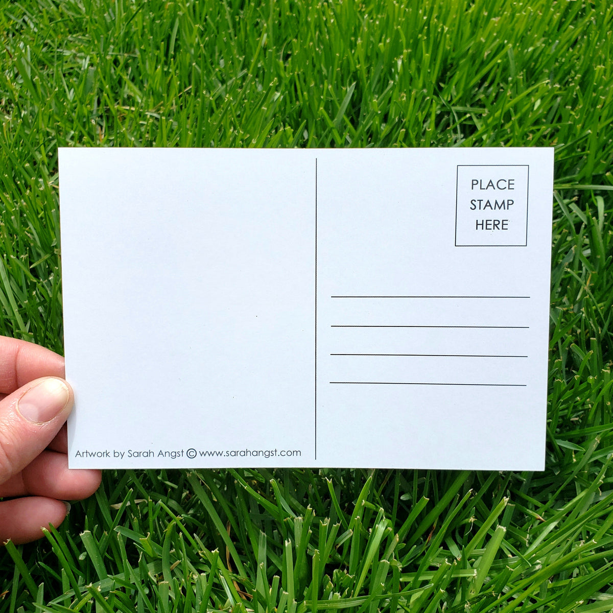 Postcard - Forest Bear – Sarah Angst Wholesale